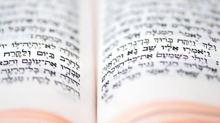Using Jewish Texts to Frame Our Early Childhood Learning | American ...